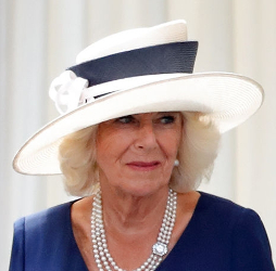 Favourite Repeated Royal Hat of 2020 | Royal Hats